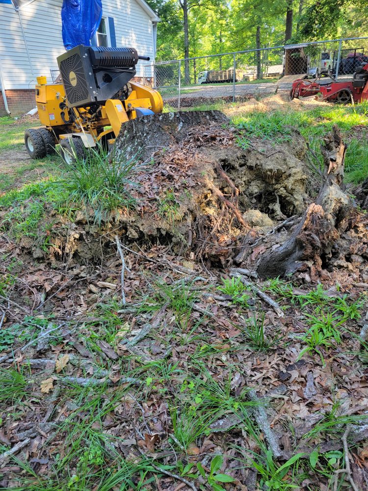 PAYNES STUMP GRINDING - Updated August 2024 - York, South Carolina ...