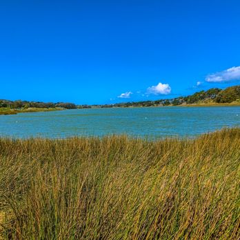LAKE MERCED - 662 Photos & 274 Reviews - 1 Harding Rd, San Francisco ...