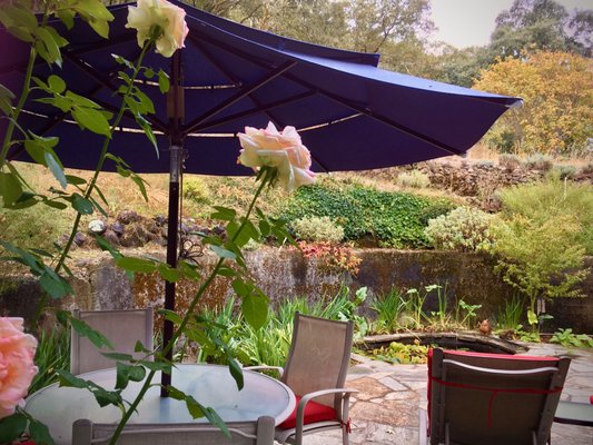 MEADOWLARK COUNTRY HOUSE - 48 Photos & 90 Reviews - 601 Petrified ...