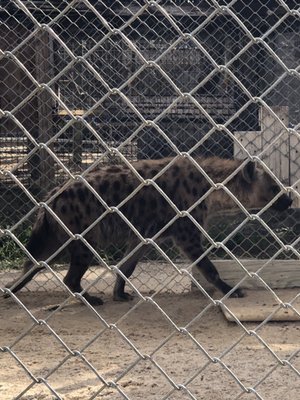 OCTAGON WILDLIFE SANCTUARY - 116 Photos & 36 Reviews - 41660 Horseshoe ...