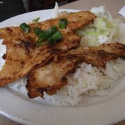 GINGER RESTAURANT - 82 Photos & 145 Reviews - 212 Queen Street W ...