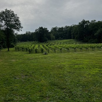 CLEARVIEW VINEYARD - Updated November 2024 - 127 Photos & 110 Reviews ...