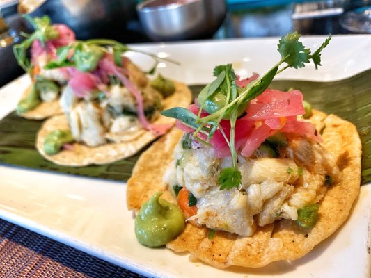 MI DIA FROM SCRATCH - 276 Photos & 273 Reviews - Tex-Mex - 2601 W ...