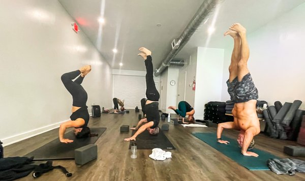 WILD ROOT YOGA - Updated December 2025 - 10 Photos - 4080 Indianola Ave, Columbus, Ohio - Yoga ...