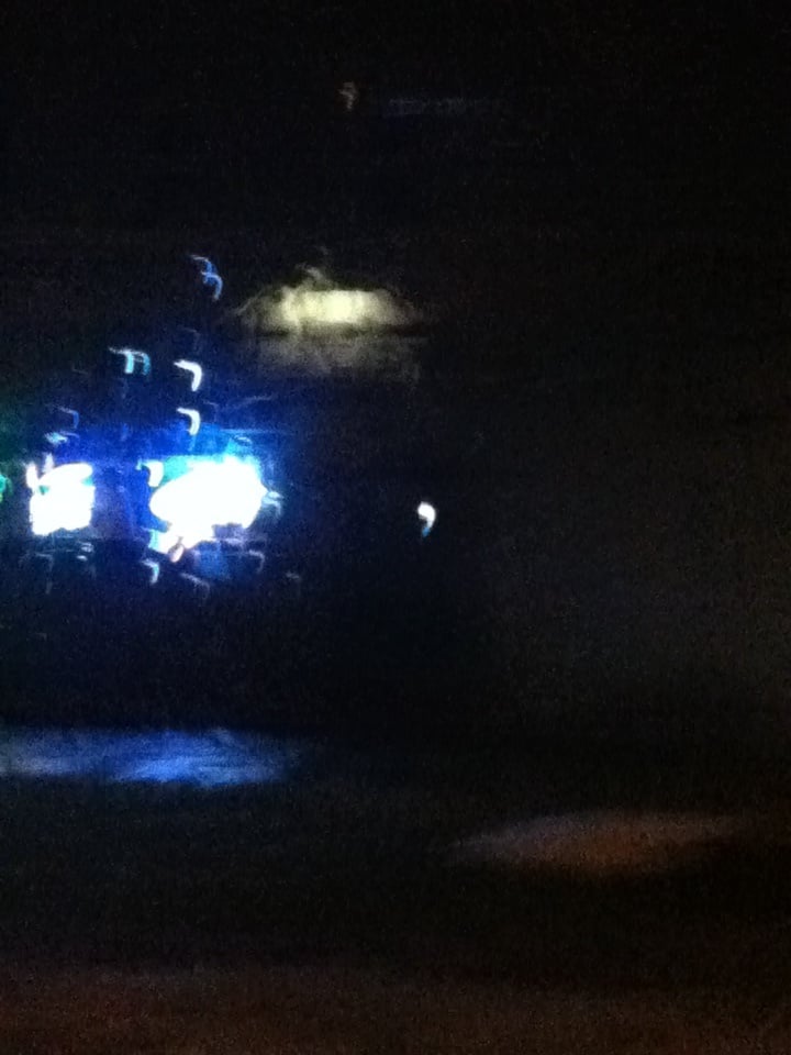 CRAZY GATOR - Updated June 2024 - 320 W 1st St S, Fulton, New York ...