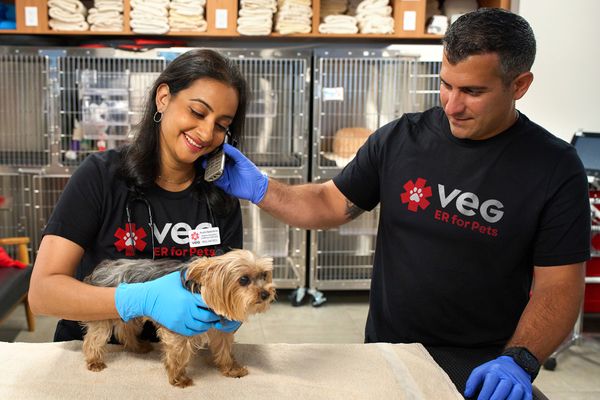 VEG ER for Pets - Updated June 2026 - 21 Photos & 17 Reviews - 1209 S ...