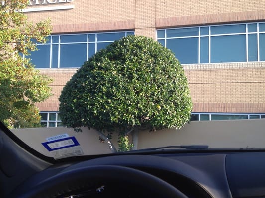 USMD HOSPITAL AT ARLINGTON - Updated December 2024 - 16 Photos & 57 ...