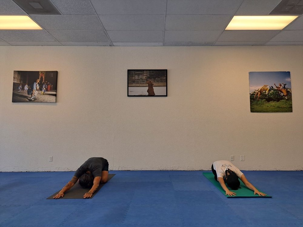 OC SHAOLIN KUNG FU - Updated April 2026 - 14 Reviews - 22600 Lambert St ...