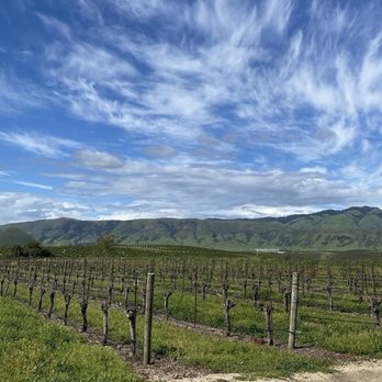 BIDDLE RANCH VINEYARD - Updated January 2025 - 185 Photos & 101 Reviews ...
