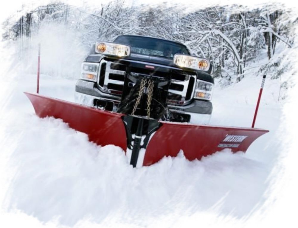 UFC TREE CARE - Updated July 2025 - 53 Photos - Grand Junction ...