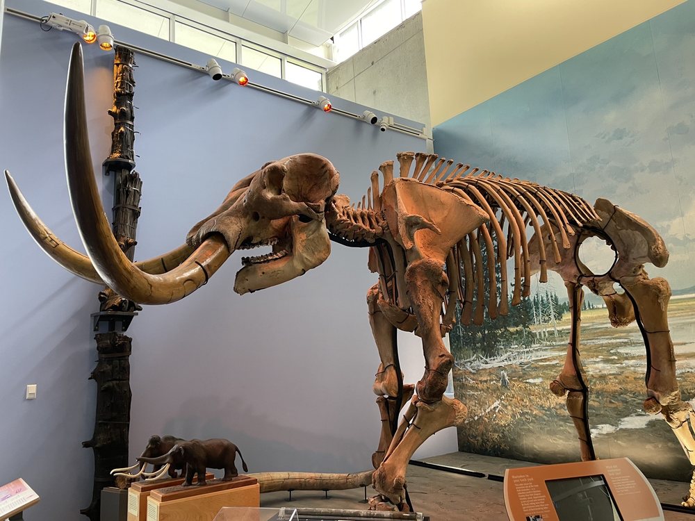 MUSEUM OF THE EARTH - 28 Photos & 19 Reviews - Museums - 1259 ...