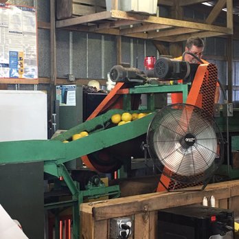 RIDGE ISLAND GROVES - Updated March 2025 - 165 Photos & 30 Reviews ...