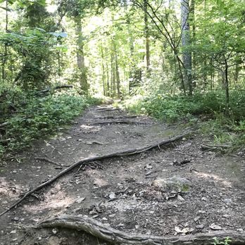 DEEP RUN PARK AND RECREATION CENTER - Updated August 2025 - 80 Photos ...