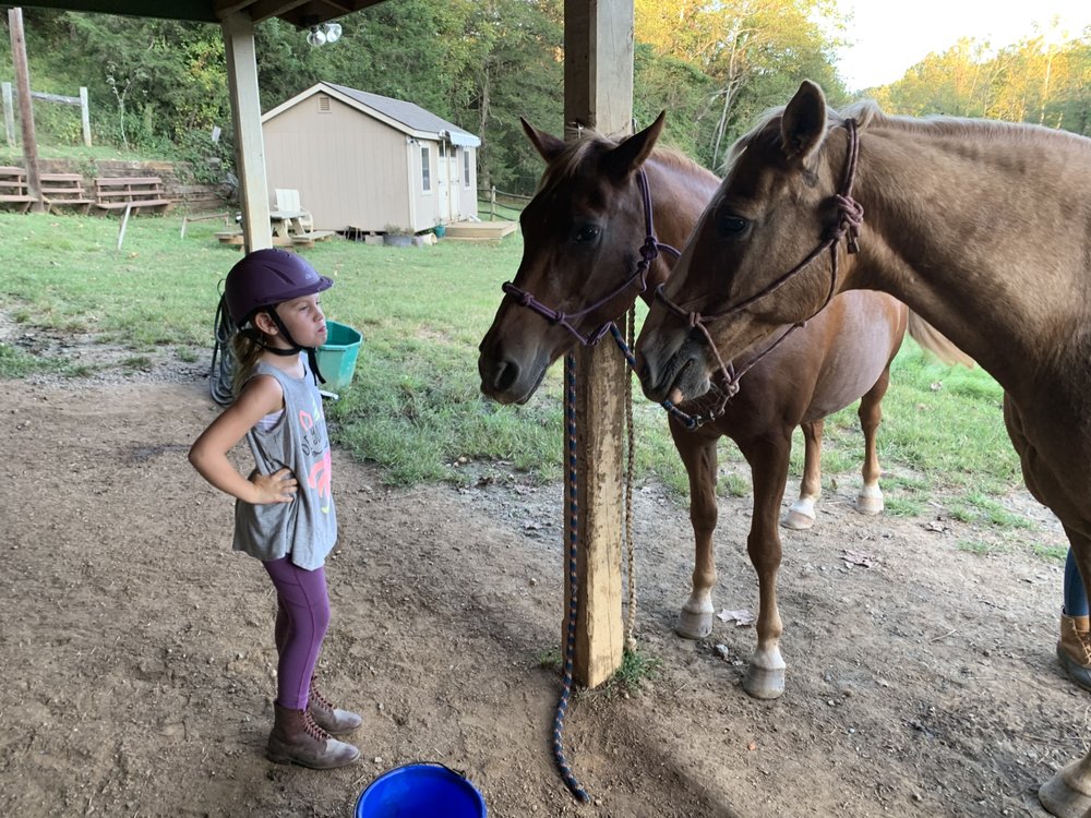 PINE RIDGE STABLE’S - Updated June 2025 - 31 Photos - 3693 Horseshoe ...