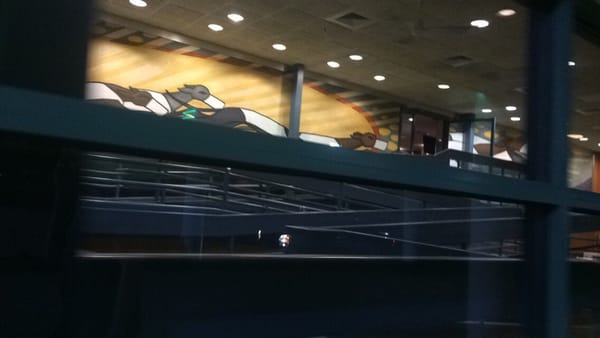 RAYNHAM-TAUNTON GREYHOUND PARK - Updated October 2025 - 1958 Broadway ...