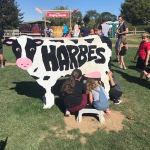 HARBES FAMILY FARM & VINEYARD - 715 Photos & 265 Reviews - 715 Sound ...