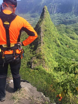 CLIMB ALOHA - 45 Photos & 44 Reviews - 515 Ward Ave, Honolulu, Hawaii ...