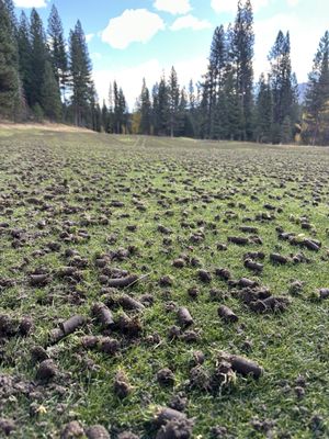 WHITEHAWK RANCH GOLF CLUB - Updated October 2025 - 26 Photos & 26 ...