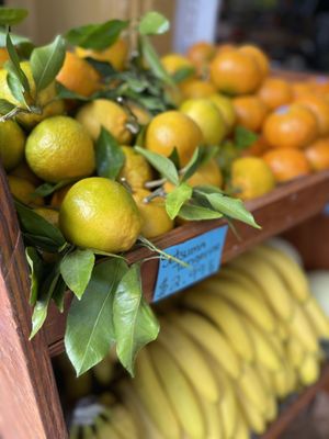 KJ PRODUCE MARKET - Updated December 2025 - 76 Photos & 34 Reviews ...