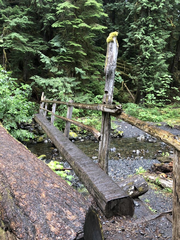 STAIRCASE AREA - OLYMPIC NATIONAL PARK - 75 Photos - Hiking - N Lake ...