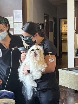 PAWS VETERINARY CENTER - Updated January 2026 - 158 Photos & 141 ...