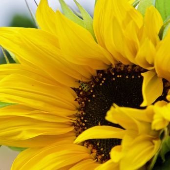 CRYSTAL BAY FARM - Updated September 2024 - 146 Photos & 64 Reviews ...