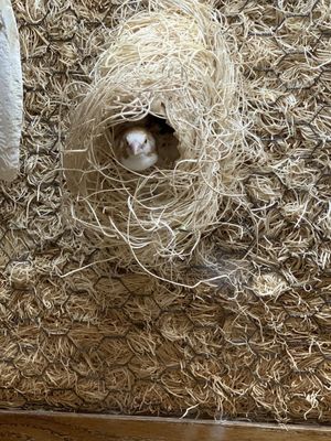 OXNARD MANOR HEALTHCARE CENTER - Updated January 2026 - 33 Reviews ...