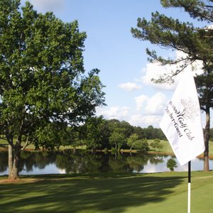 GOVERNORS TOWNE CLUB - Updated October 2025 - 251 Photos & 14 Reviews ...