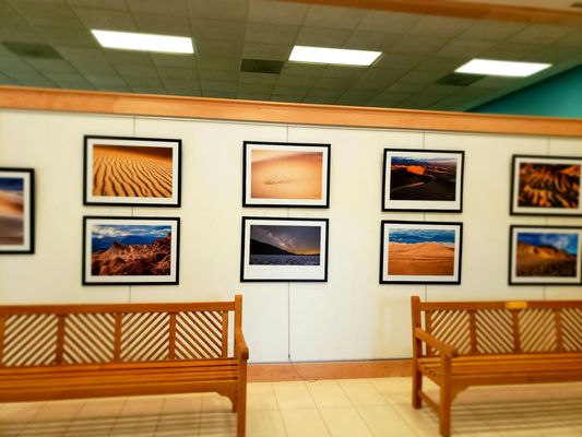 ST JOHNS COUNTY PUBLIC LIBRARY - PONTE VEDRA BEACH - Updated January ...