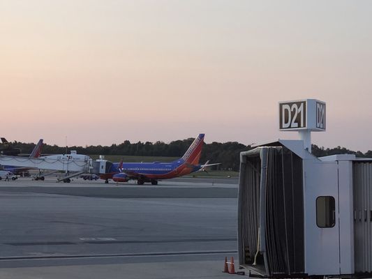 BWI THURGOOD MARSHALL AIRPORT - CONCOURSE D - Updated July 2024 - 298 ...