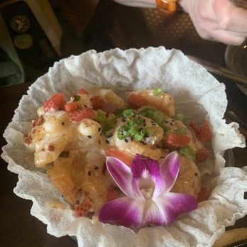 BAR DOJO - Updated July 2024 - 898 Photos & 535 Reviews - 8404 Bowdoin ...