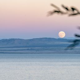 MONO INN - Updated October 2025 - 132 Photos & 60 Reviews - 55620 Hwy ...