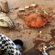 CAPTAIN JAMES LANDING - 549 Photos & 443 Reviews - 2127 Boston St ...