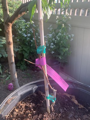 RESTORING EDEN - Updated April 2025 - 42 Photos & 35 Reviews - 3503 S ...