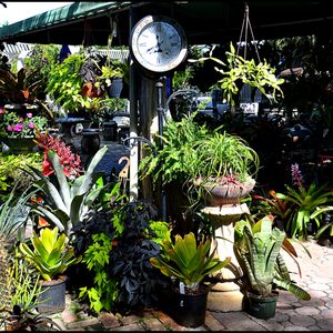 THE BUSHEL STOP - 150 Photos & 35 Reviews - Nurseries & Gardening ...