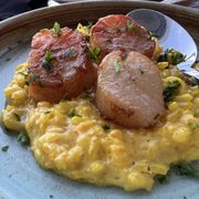 Scallop Risotto - Menu - Spain Wine Bar - Ocean City