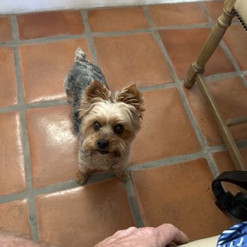 SLATON VETERINARY HOSPITAL - Updated July 2024 - 88 Photos & 128 ...