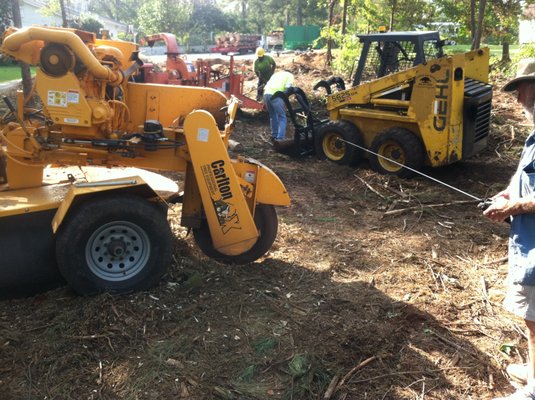 LANDRUM TREE SERVICE - Updated July 2025 - 19 Photos & 14 Reviews ...