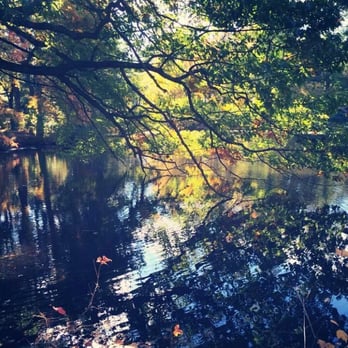 BAILEY ARBORETUM - Updated August 2025 - 147 Photos & 21 Reviews - 194 ...