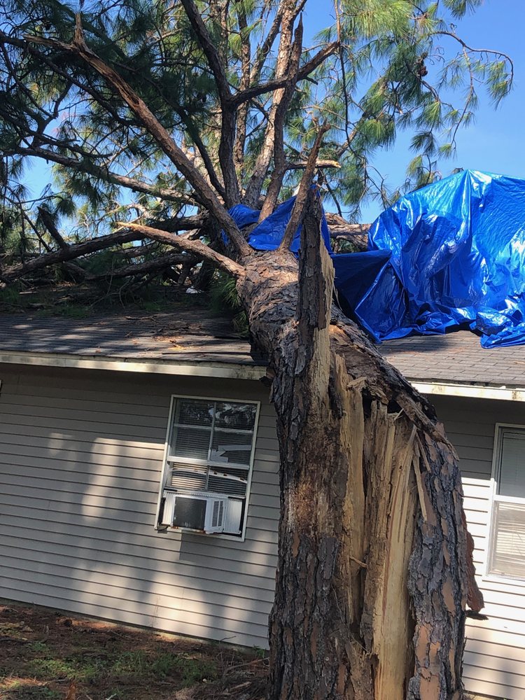 ACADIANA TREE SERVICE & REMOVAL - Updated August 2025 - Lafayette ...