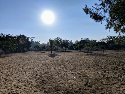 NATE’S POINT DOG PARK - BALBOA PARK - 225 Photos & 324 Reviews - 2500 ...