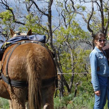 GRINDSTONE STABLES - Updated December 2025 - 58 Photos & 59 Reviews ...