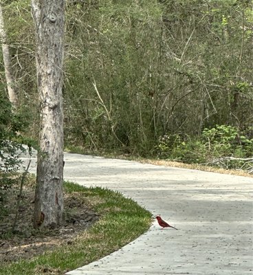 DIXIE FARM ROAD PARK - Updated December 2025 - 39 Photos - Blackhawk ...