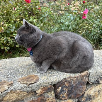 MORCOM MUNICIPAL ROSE GARDEN - Updated December 2025 - 907 Photos & 150 ...