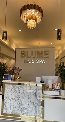 BLUME NAILS SPA - Updated August 2024 - 322 Photos & 68 Reviews - 33355 ...