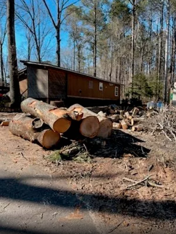 KND TREE SERVICE & LANDSCAPING - Updated July 2025 - 28 Photos ...