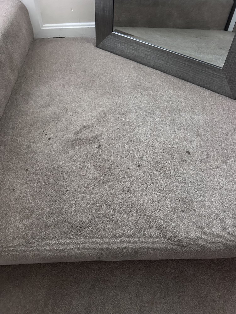 USA CLEAN MASTER - Updated October 2025 - 52 Photos - Plantation ...