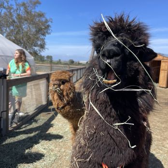 FOX POINT FARMS - Updated May 2025 - 324 Photos & 116 Reviews - 1150 ...