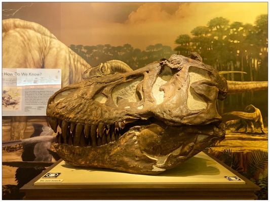 RAYMOND M ALF MUSEUM OF PALEONTOLOGY - Updated December 2024 - 133 ...