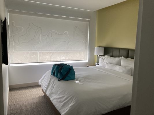 ELEMENT LEXINGTON - Updated December 2025 - 84 Photos & 87 Reviews ...